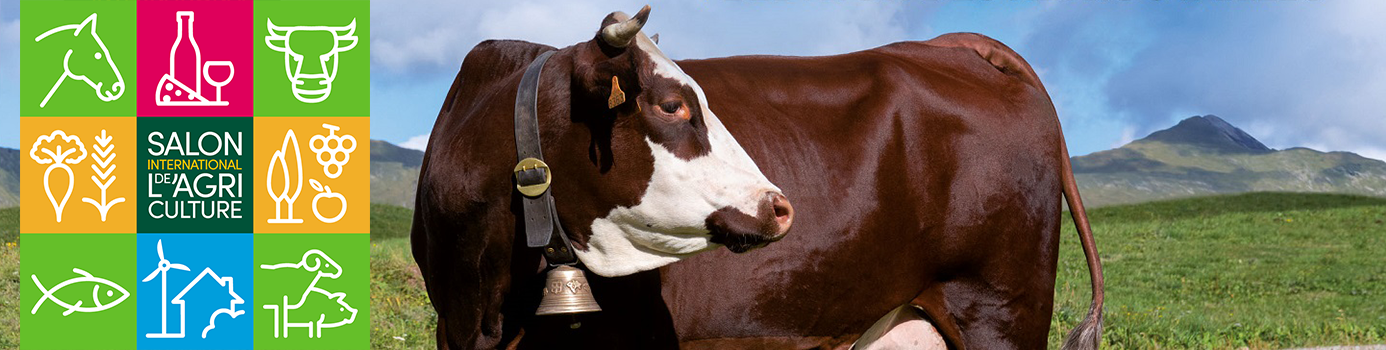 MSA - MSA Gironde accueil - MSA Gironde